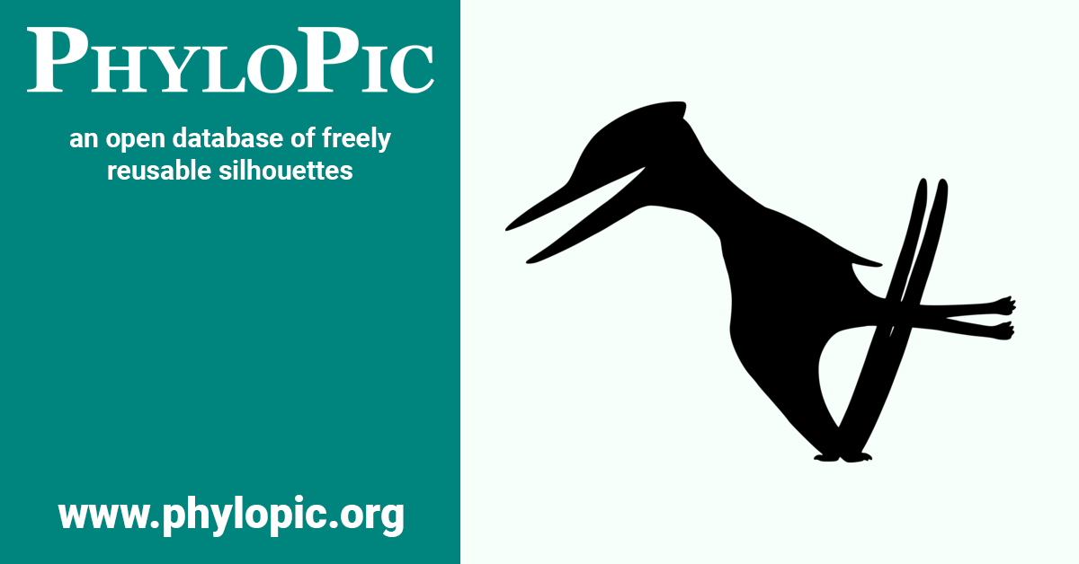 Radiodactylus langstoni by jack liddle (CC BY 4.0) - PhyloPic