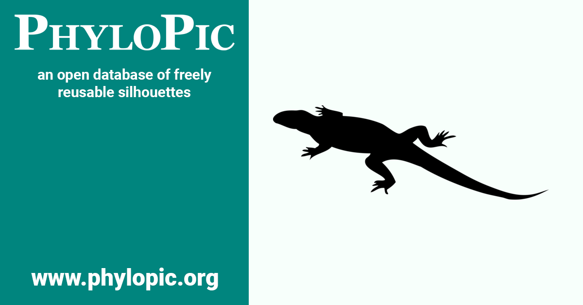 Hylonomus lyelli - PhyloPic