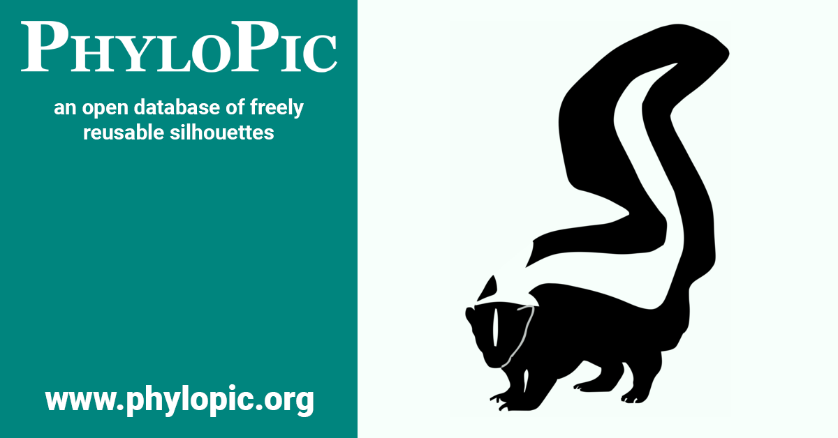 Mephitis mephitis by Edwin Price (CC0 1.0) - PhyloPic