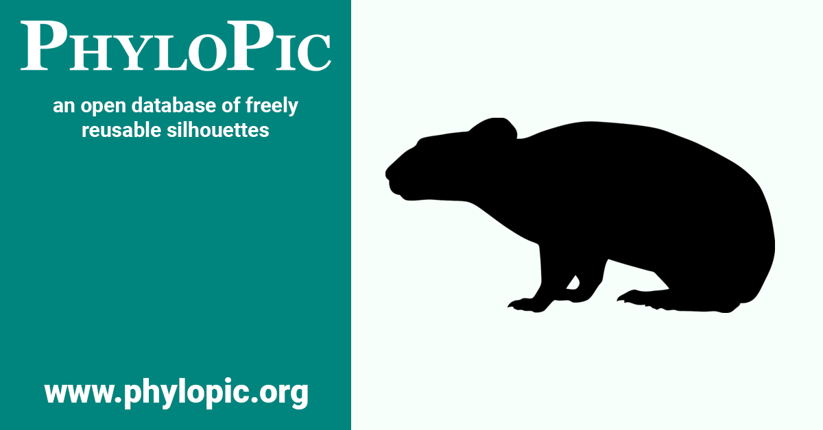 Lagomorpha - PhyloPic
