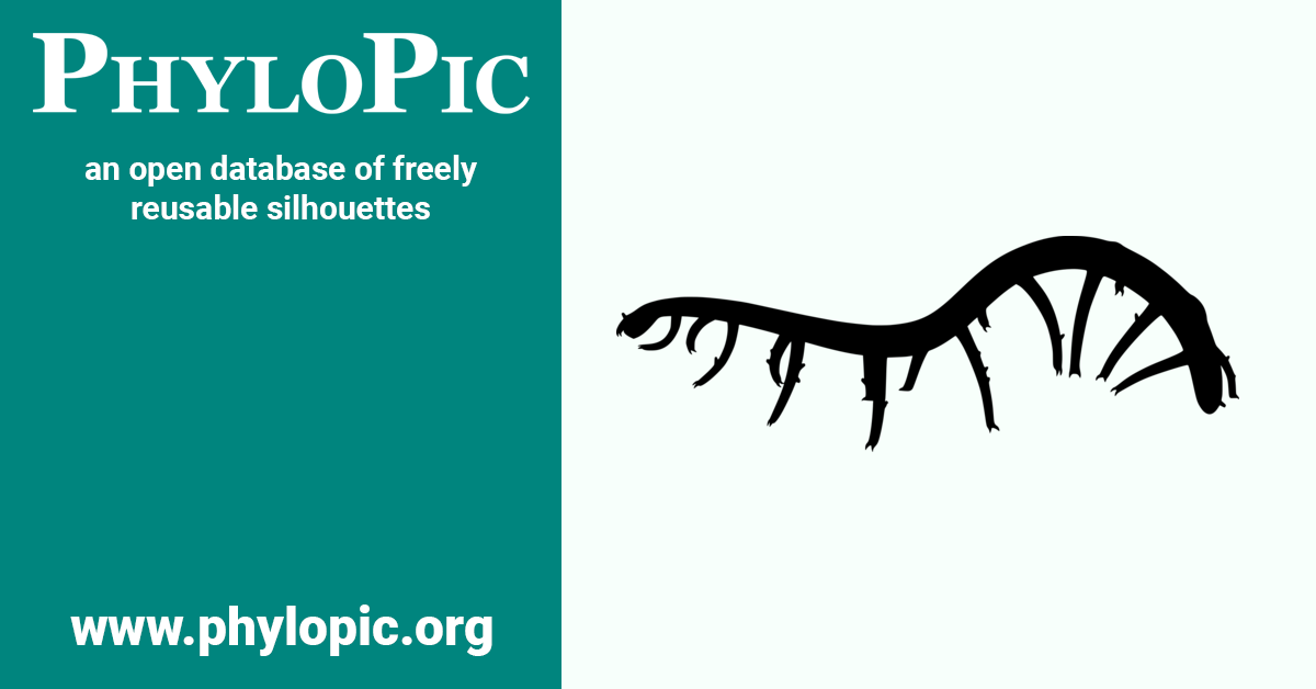 Paucipodia inermis by Nix Illustration (CC BY-NC 3.0) - PhyloPic