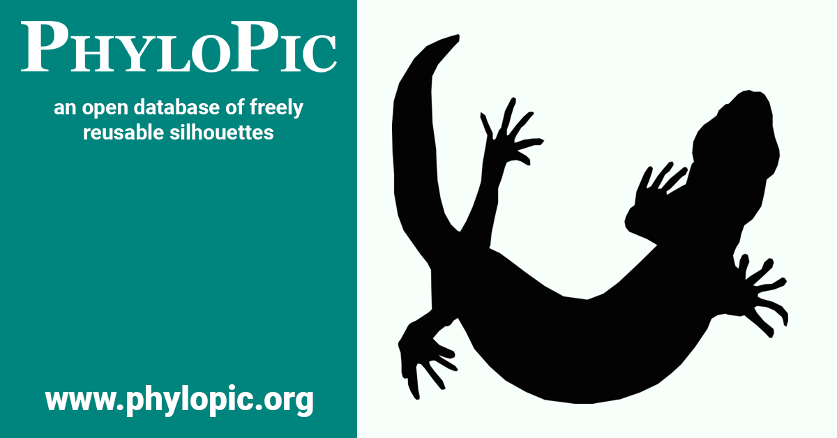 Heloderma - PhyloPic