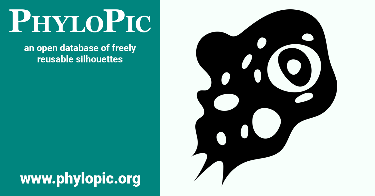 Naegleria gruberi by Arcadia Science (CC0 1.0) - PhyloPic