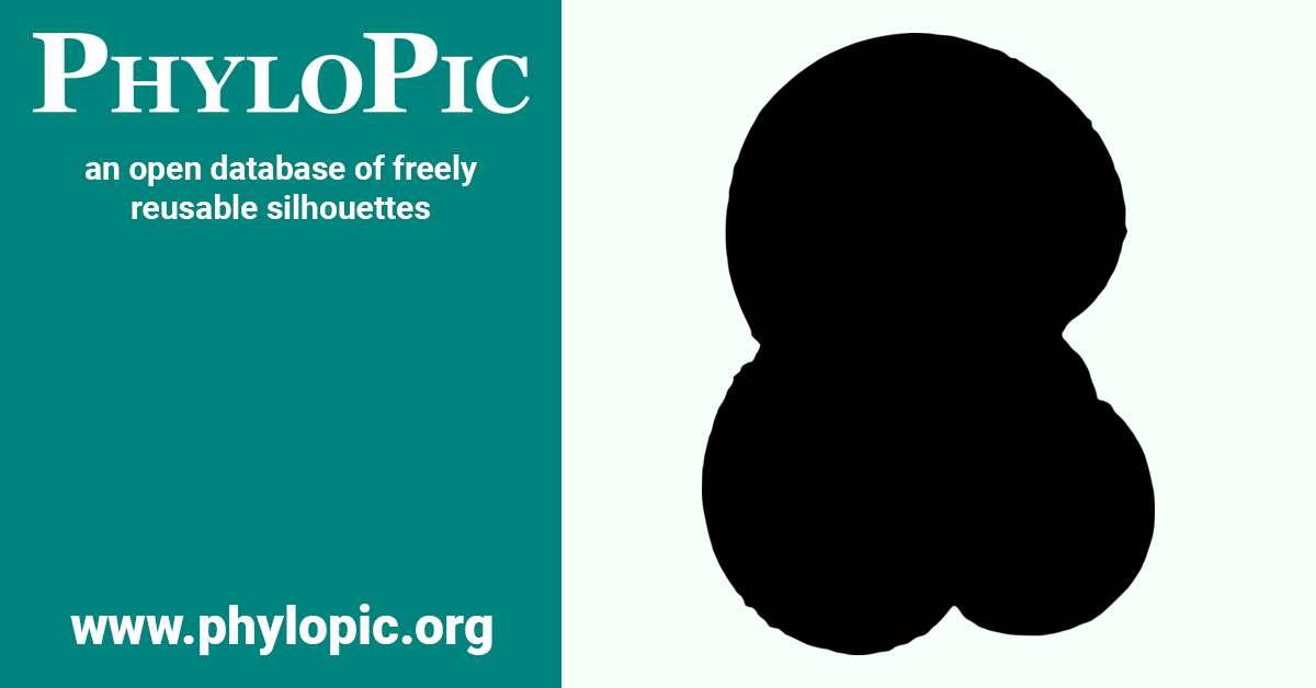 Rotaliida - PhyloPic