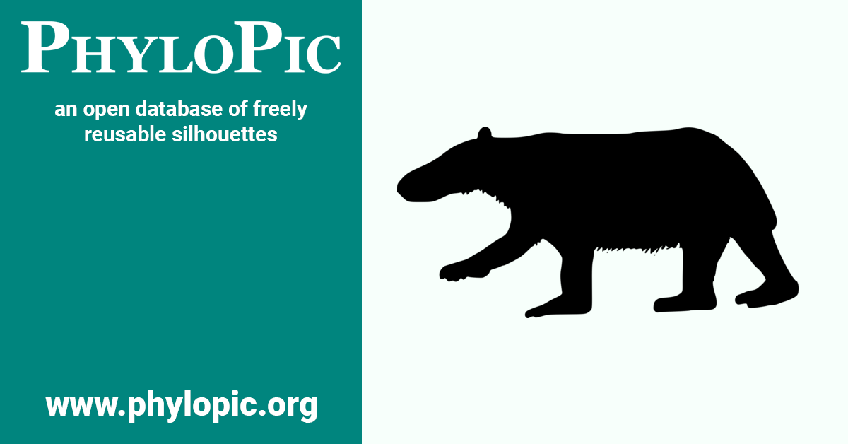 Diprotodontoidea - PhyloPic