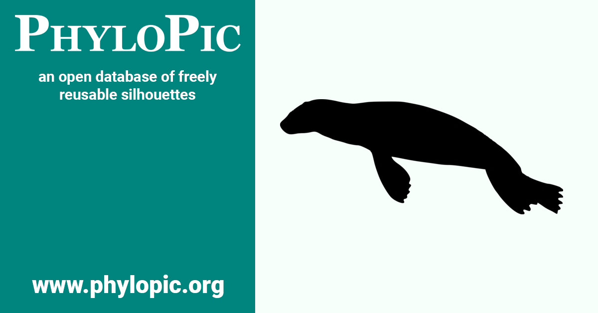 Enaliarctos - PhyloPic