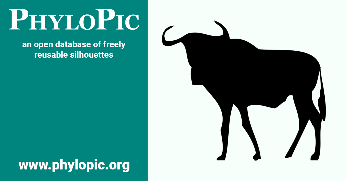 Connochaetes taurinus ssp. taurinus by Jan A. Venter, Herbert H. T ...