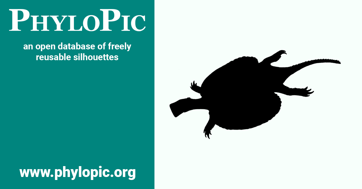 Henodus chelyops by Jaime Headden (CC BY 3.0) - PhyloPic