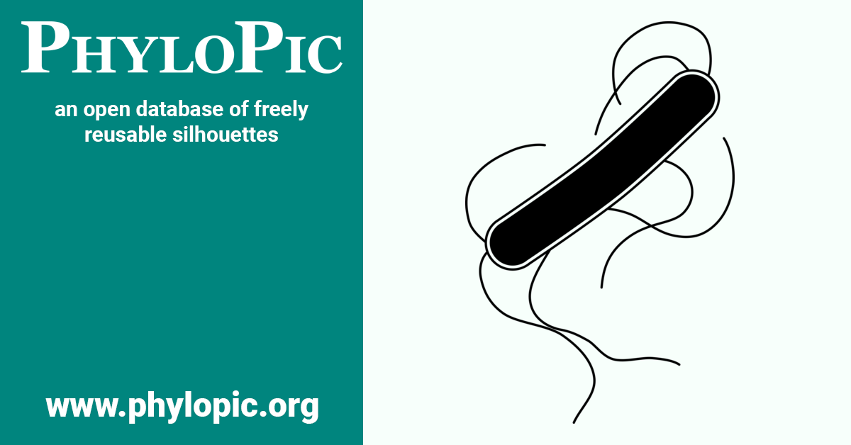 Acidobacterium capsulatum by Matt Crook (CC BY-SA 3.0) - PhyloPic