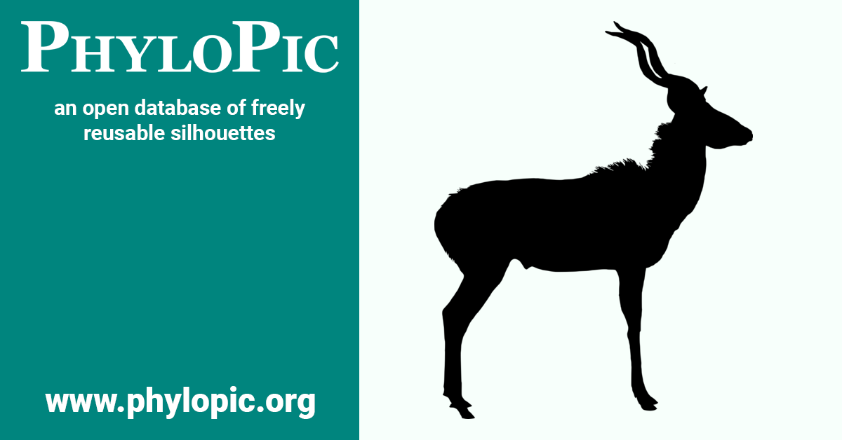 Tragelaphus imberbis by Kai Caspar (CC BY 4.0) - PhyloPic