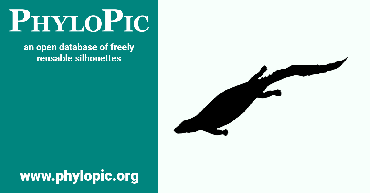 Paraplacodus broilii by Nobu Tamura (CC BY 3.0) - PhyloPic