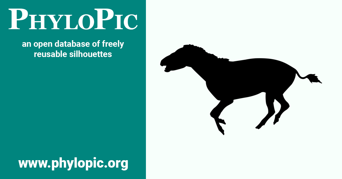 Hyracodontidae - PhyloPic