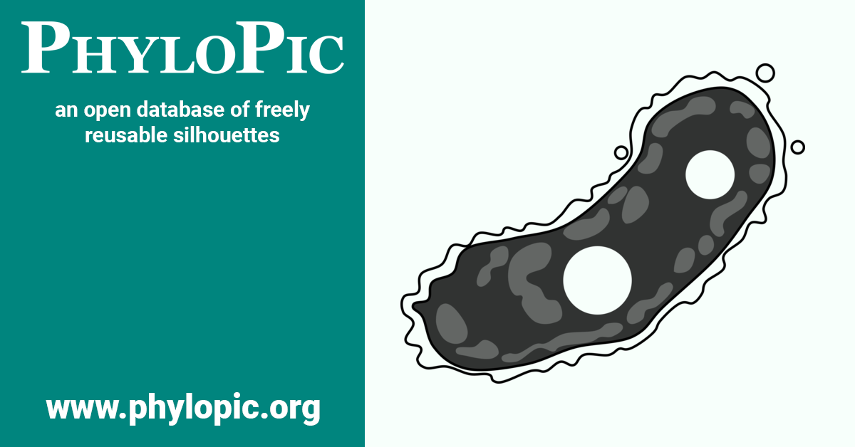 Chlorobium by Matt Crook (CC BY-SA 3.0) - PhyloPic