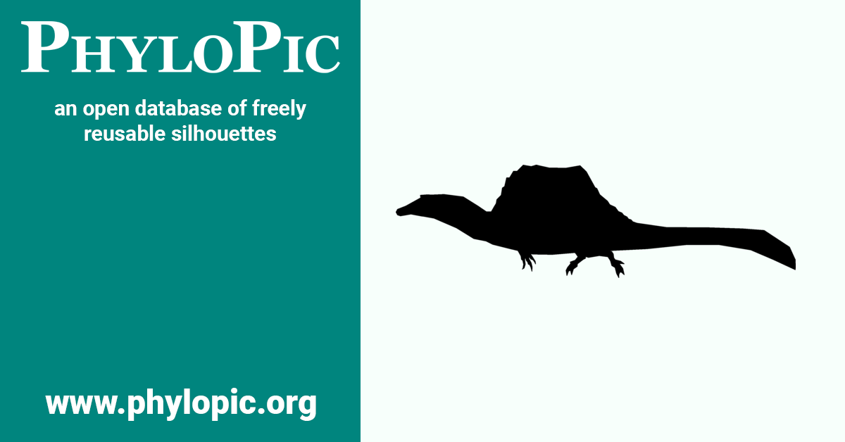 Spinosaurus aegyptiacus - PhyloPic