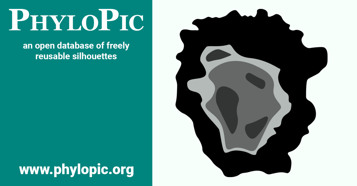 Bonamia ostreae by Felix Vaux (CC0 1.0) - PhyloPic