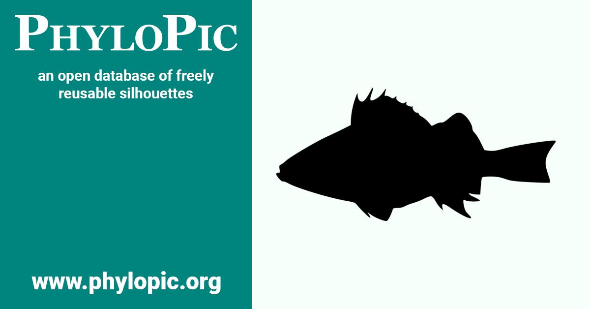 Conodon nobilis by Erik Junior (CC0 1.0) - PhyloPic