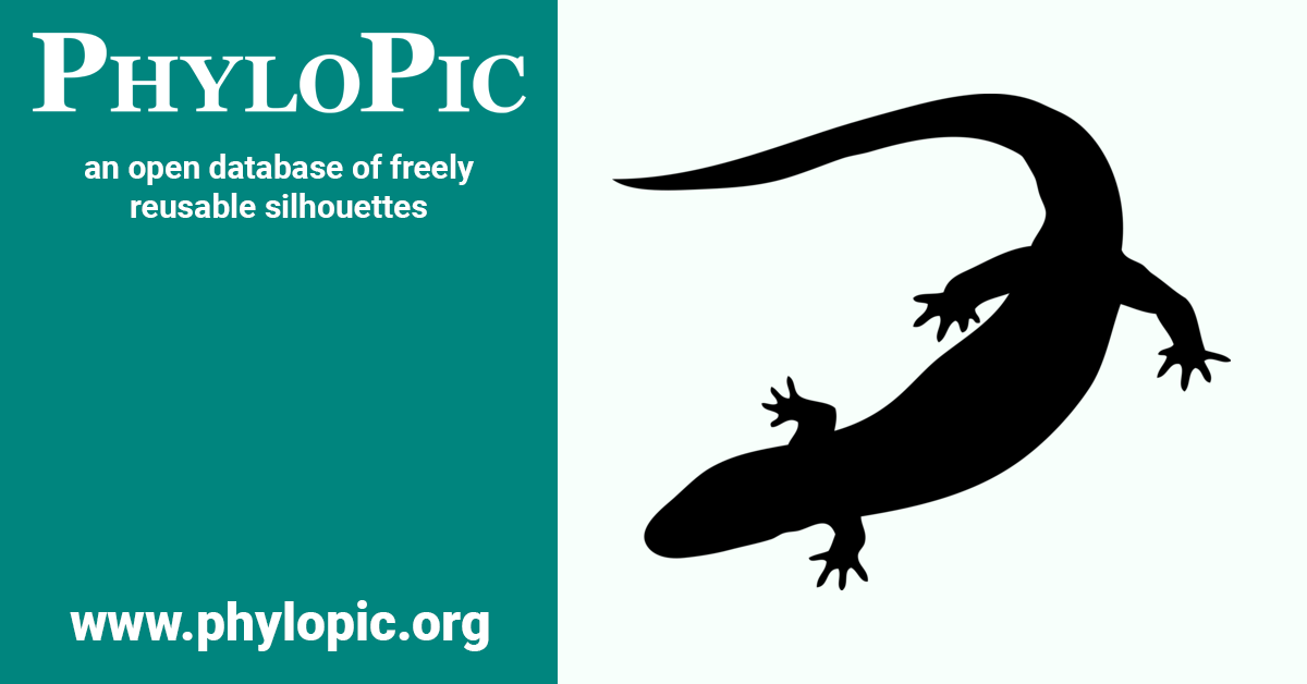 pan-Lissamphibia - PhyloPic