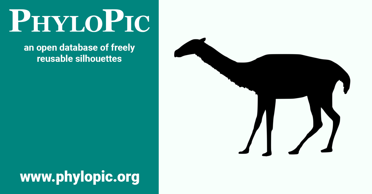 Oxydactylus longipes by Zimices (CC BY-NC 3.0) - PhyloPic