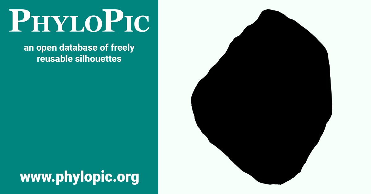 Pyrolobus Fumarii Characteristics