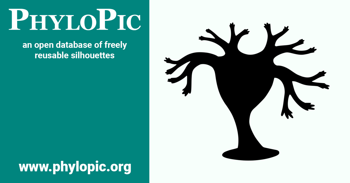 Haootia quadriformis by Nix Illustration (CC BY-NC 3.0) - PhyloPic