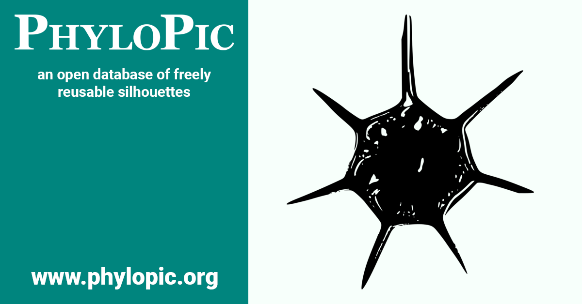 Ochrophyta - PhyloPic