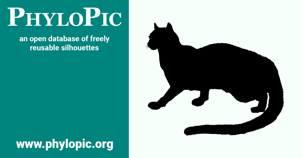 Pardofelis badia by Joseph Smit (modified by T. Michael Keesey) (PDM 1. ...