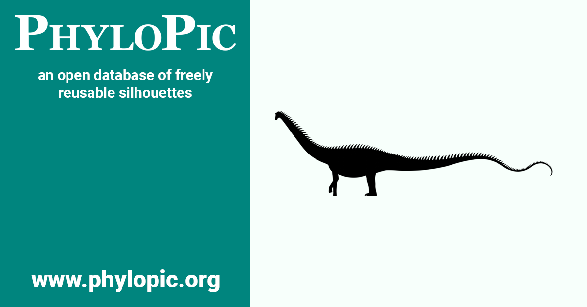 Diplodocus carnegii by Jagged Fang Designs (CC0 1.0) - PhyloPic