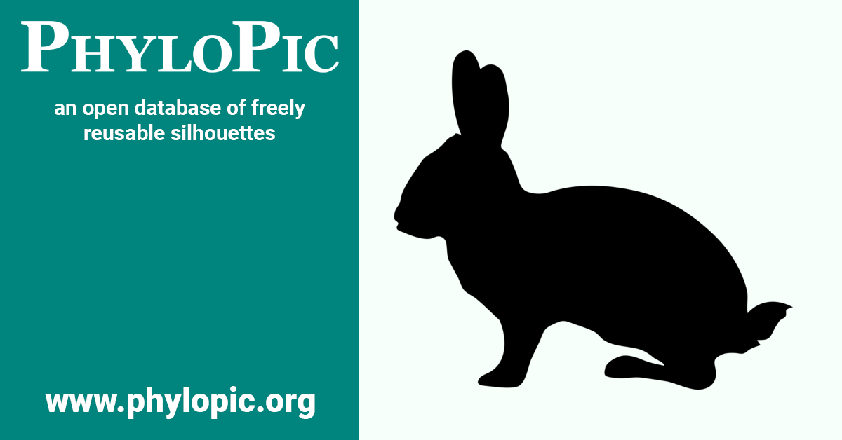 Oryctolagus cuniculus by Ferran Sayol (CC0 1.0) - PhyloPic