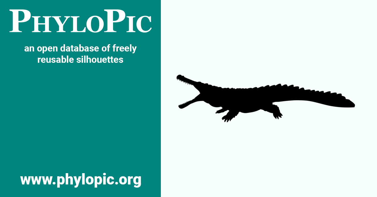Hyposaurus by Arthur S. Brum (CC0 1.0) - PhyloPic