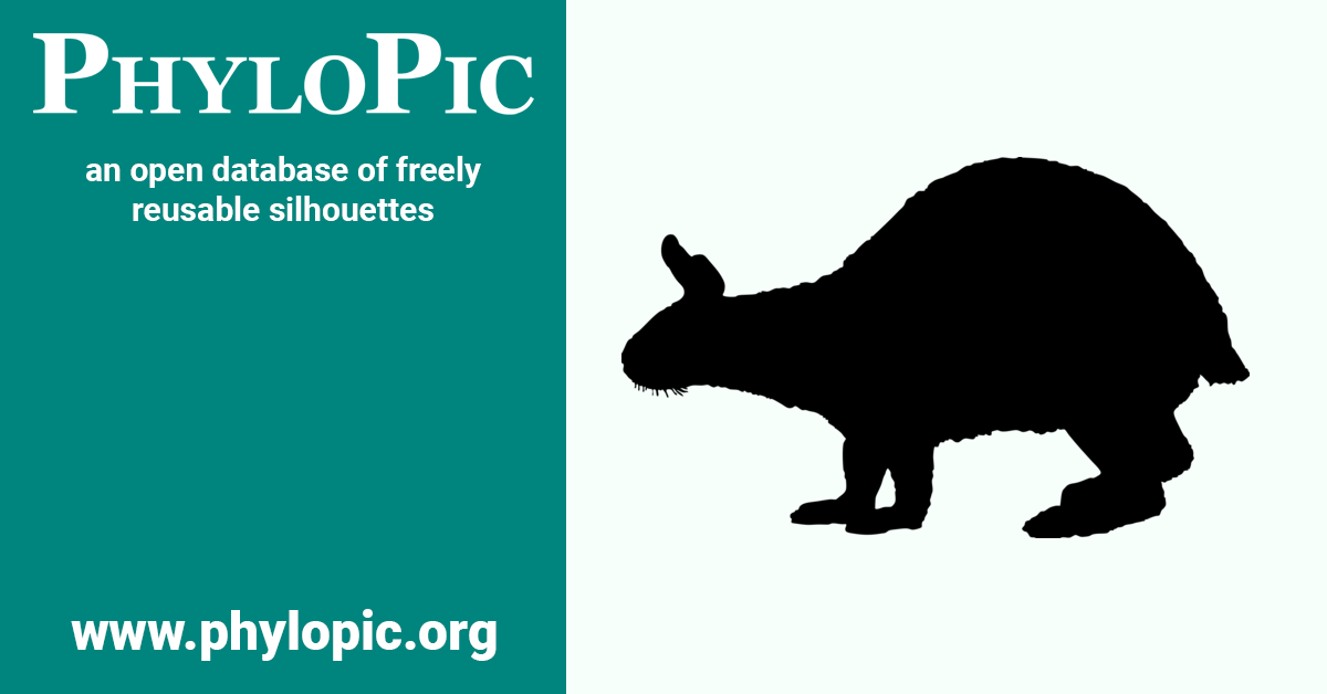 Nuralagus rex by Steven Traver (CC0 1.0) - PhyloPic