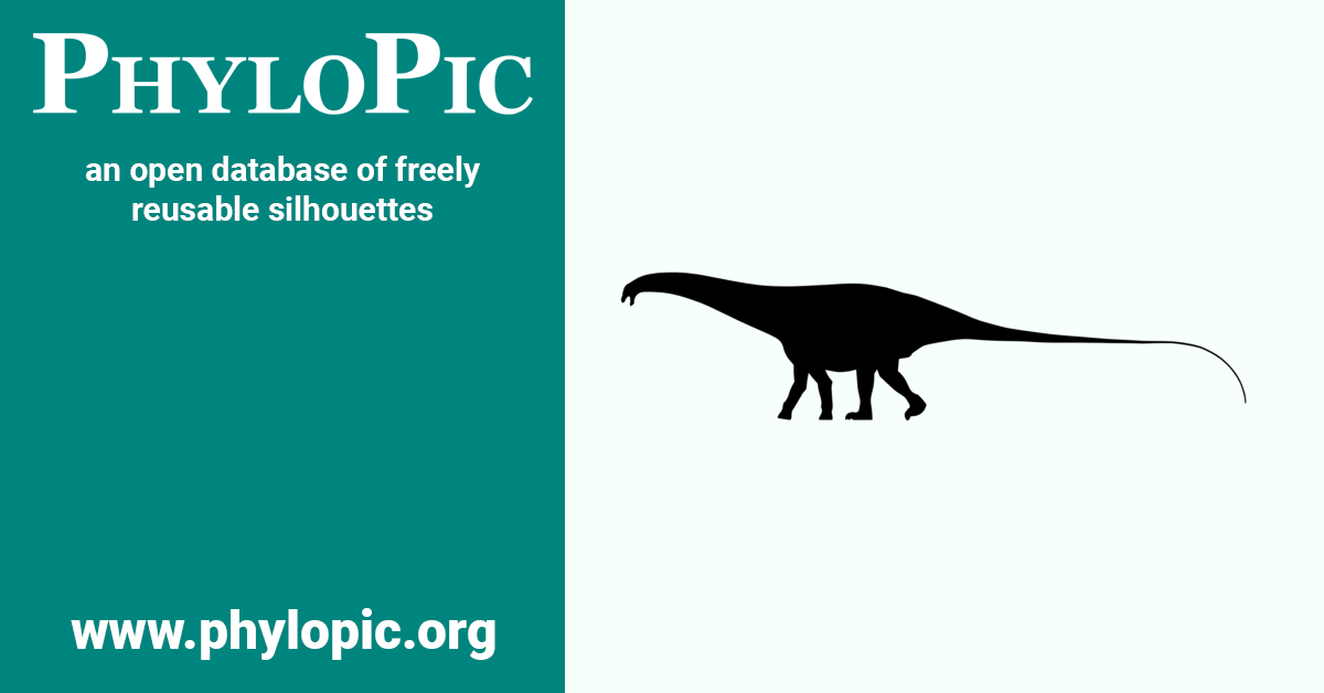 Brontosaurus excelsus by Scott Hartman (CC BY-NC-SA 3.0) - PhyloPic