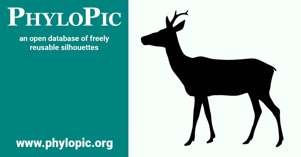 Cervidae - PhyloPic