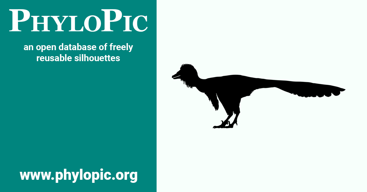 Troodon formosus by Raven Amos (PDM 1.0) - PhyloPic