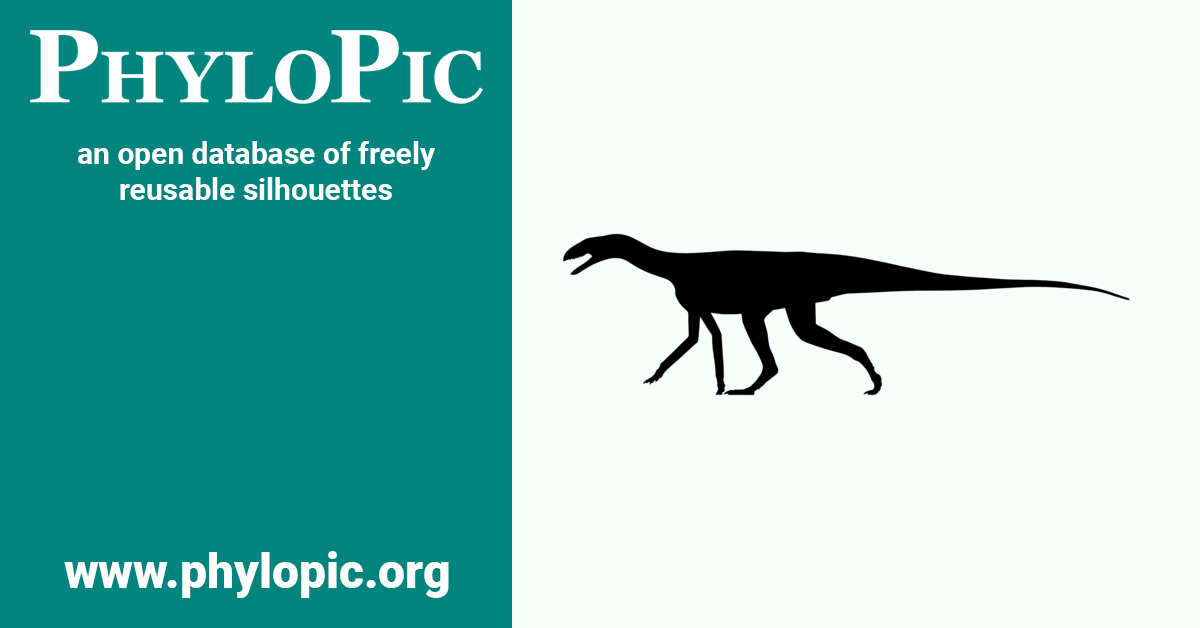 Asilisaurus kongwe by Scott Hartman (CC BY 3.0) - PhyloPic