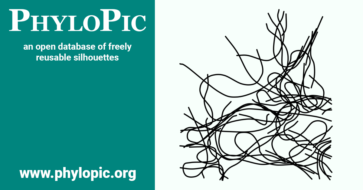 Chloroflexus aurantiacus by Matt Crook (CC BY-SA 3.0) - PhyloPic