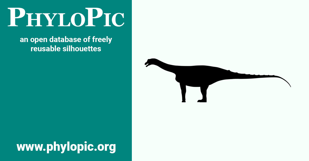 Neuquensaurus australis by Ryan S. Soledade (CC0 1.0) - PhyloPic
