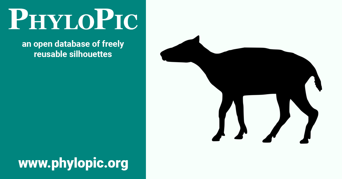 Proterotheriinae - PhyloPic