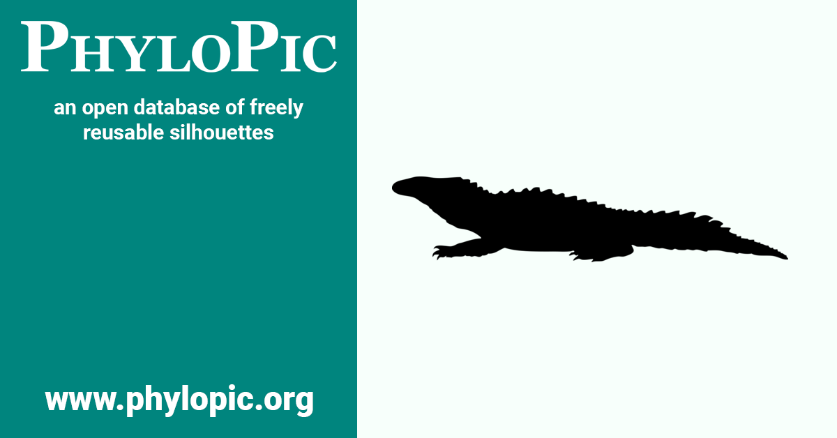 Sebecidae - PhyloPic