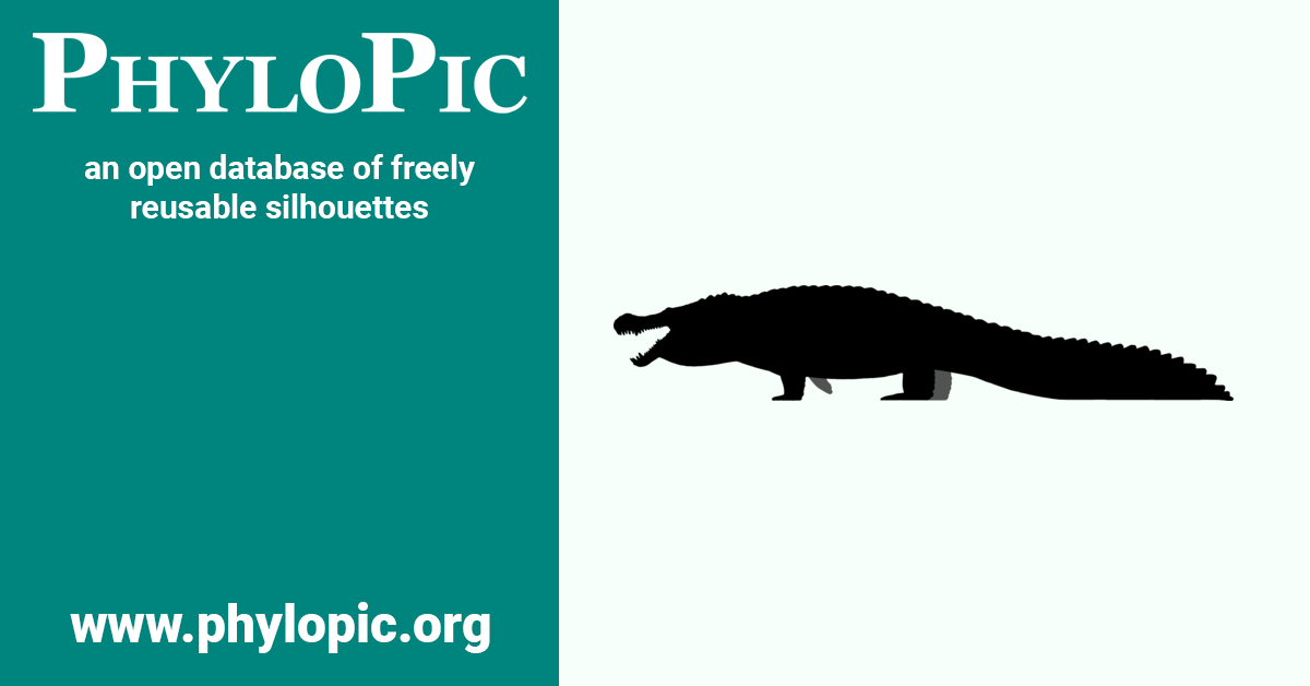 Lineage of Purussaurus neivensis - PhyloPic