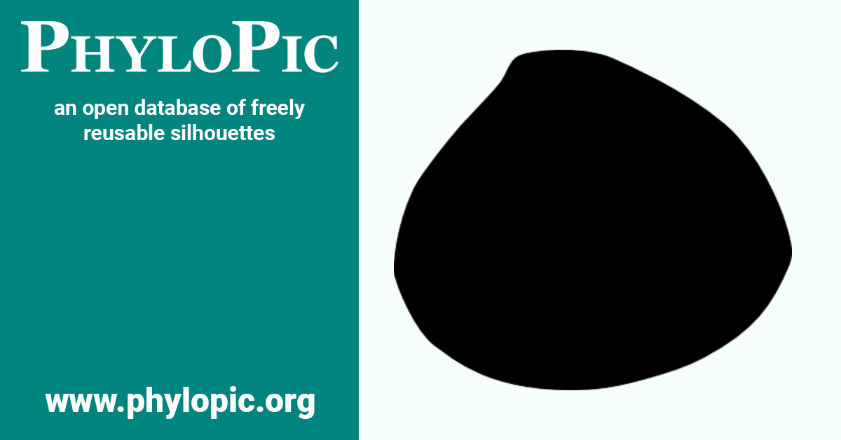 Nucula nucleus by Katie S. Collins (CC BY 3.0) - PhyloPic