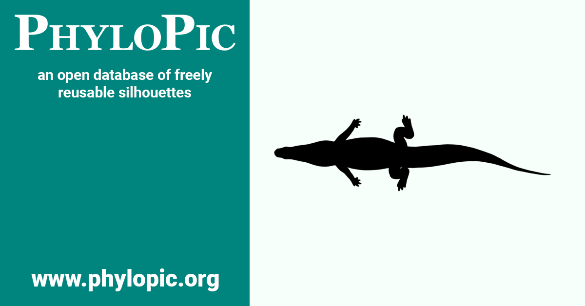 Australosuchus clarkae by Armin Reindl (CC BY 4.0) - PhyloPic