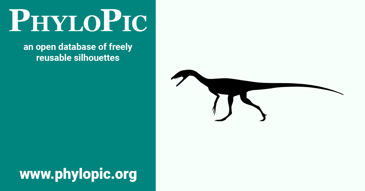 Theropoda - PhyloPic