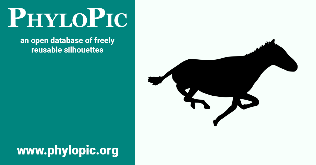 Equus occidentalis by Zimices (CC BY-SA 3.0) - PhyloPic