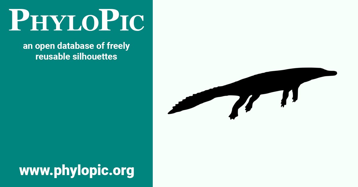 Chenanisuchus lateroculi by Nobu Tamura, vectorized by Zimices (CC BY ...