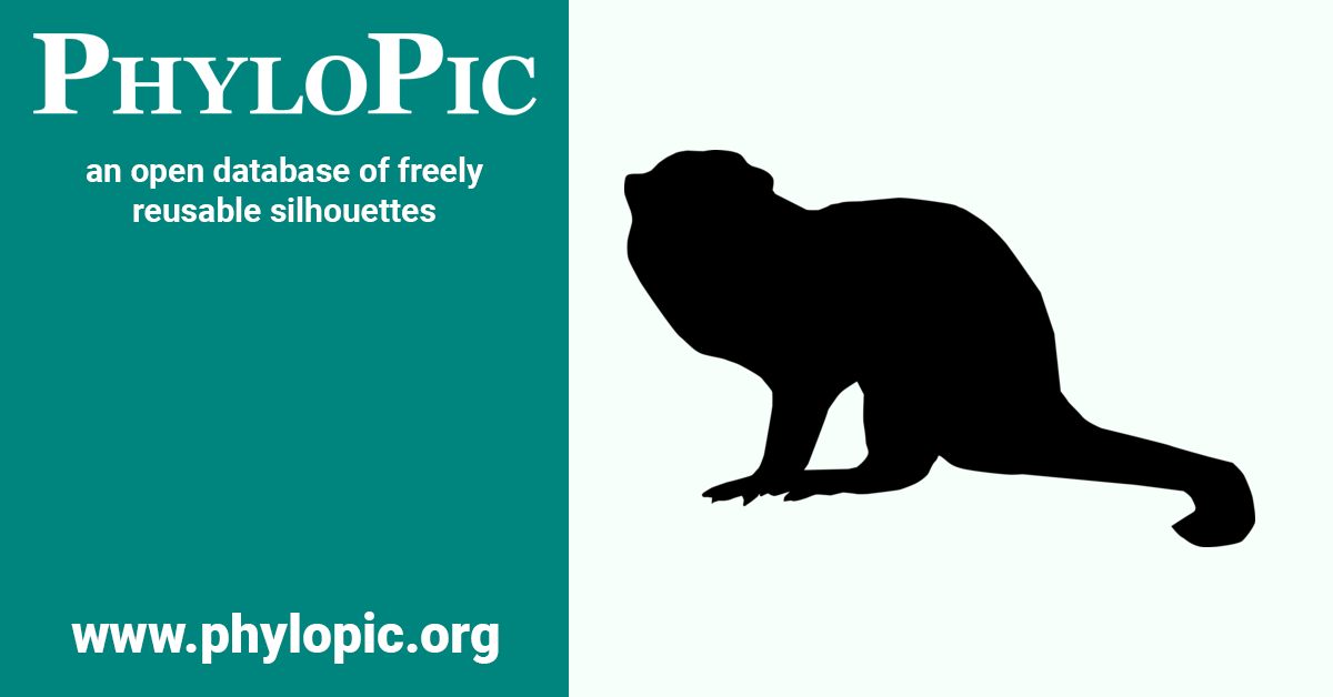 Atilax paludinosus by Margot Michaud (CC0 1.0) - PhyloPic