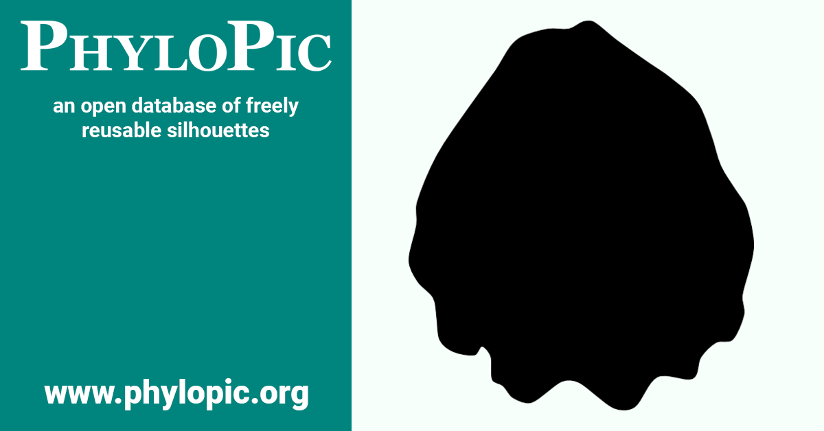 Plicatula plicata by Katie S. Collins (CC0 1.0) - PhyloPic