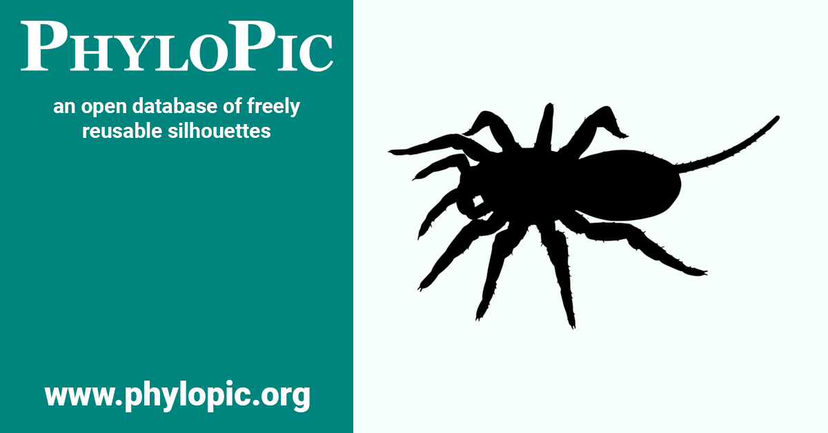 Attercopus fimbriunguis by Qohelet12 (CC BY-SA 3.0) - PhyloPic