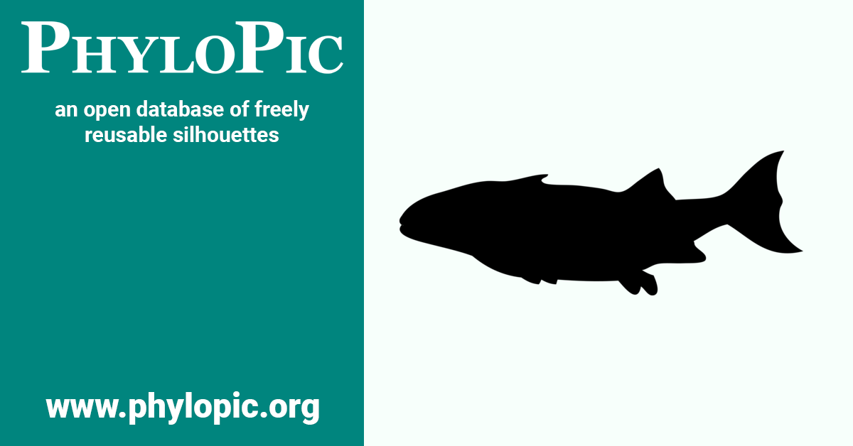 Guiyu oneiros (CC0 1.0) - PhyloPic