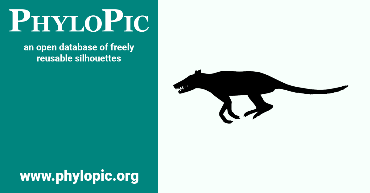 Pakicetus by Conty (CC BY 3.0) - PhyloPic