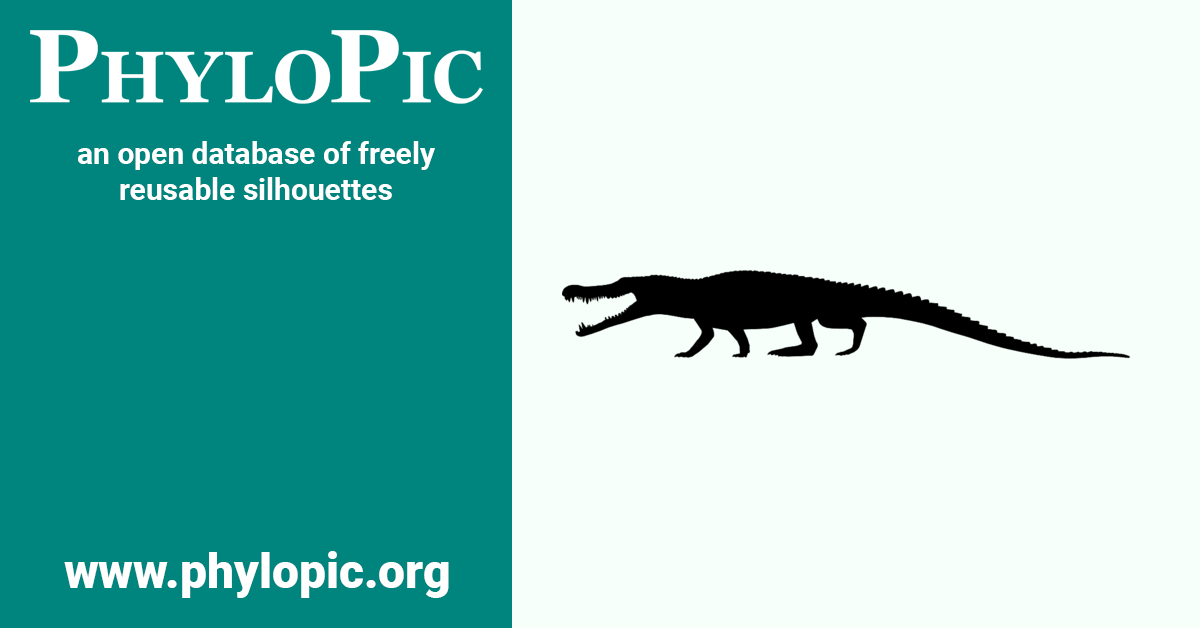 Deinosuchus - PhyloPic